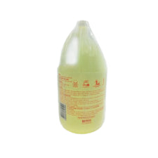 Apollo Muriatic Acid 1 gal — PHILUSA Online Store